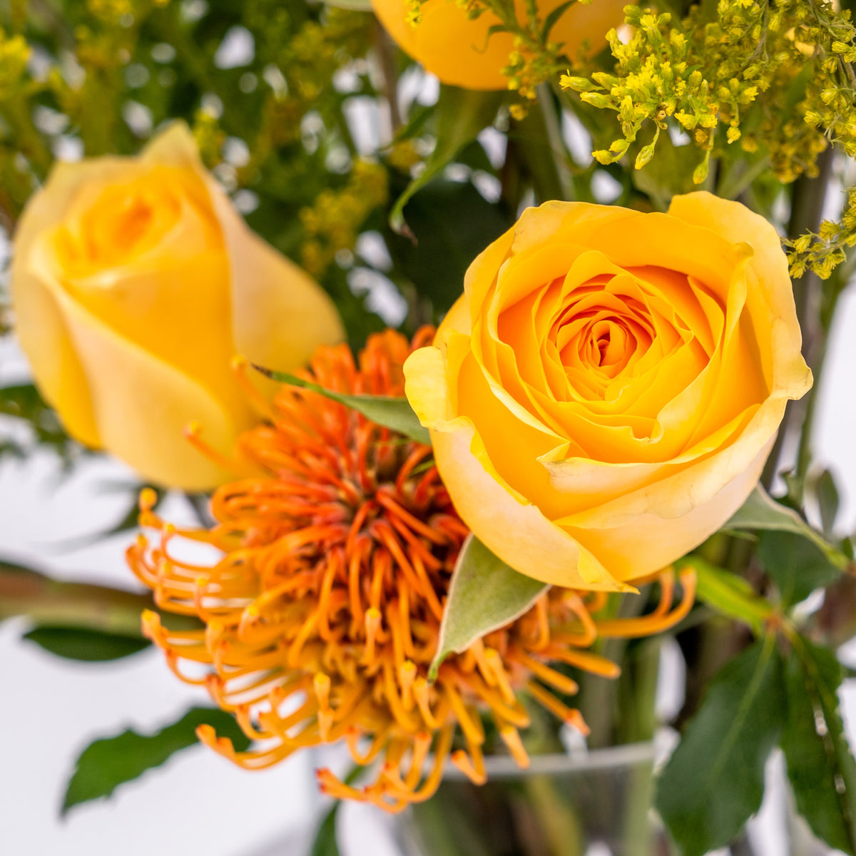 August Reggae Playlist - Here Comes The Sun – Julep