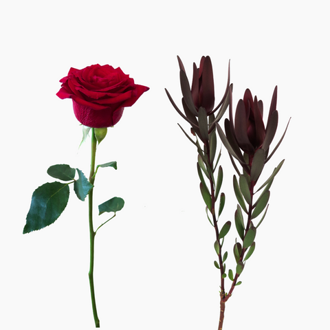 Julep Flower Delivery Johannesburg | Flowers in a box